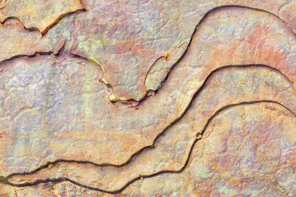 Surface of river soil with minerals - Stock Photo - Dissolve