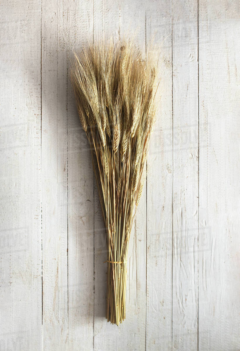 From above of bouquet of dried wheat spikes tied with rope placed on ...