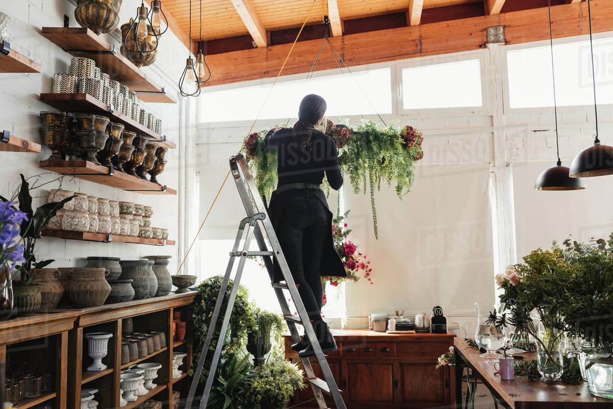 Back view of unrecognizable female florist standing on ladder and ...