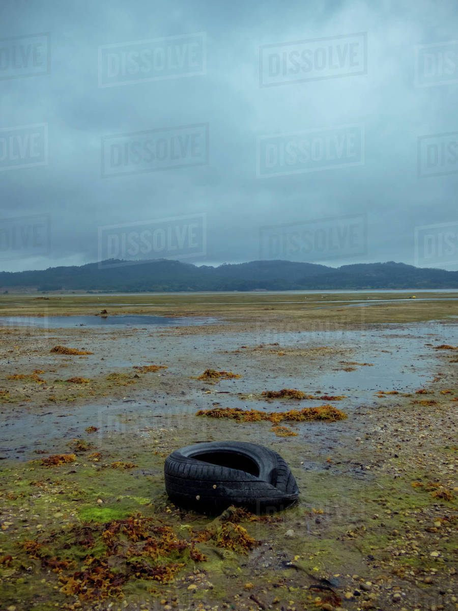 Old damaged auto tire on wet terrain near river tributary with ridge ...