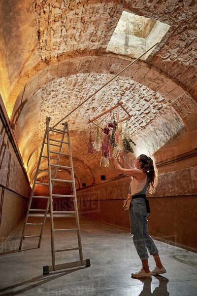 Side view of female standing on stool and preparing flowers for drying ...