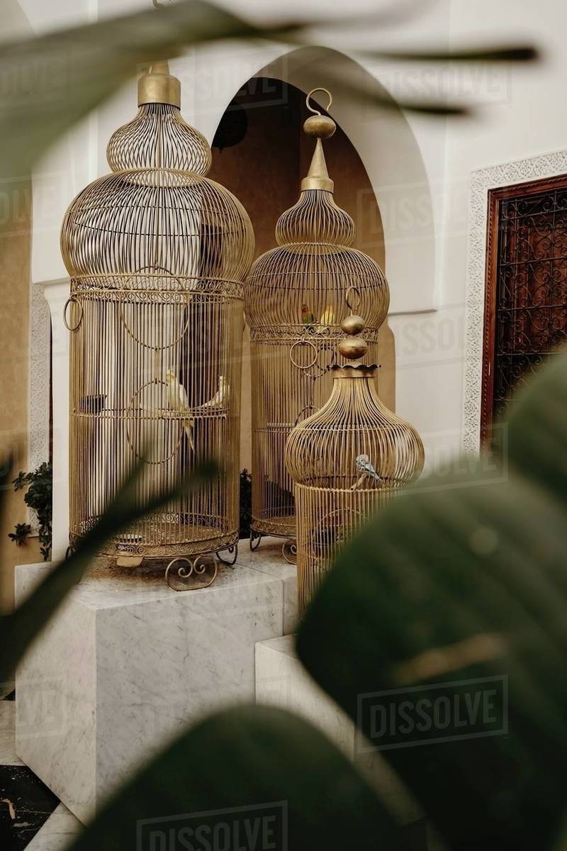 Elegant interior in traditional oriental style with vintage bird cages ...