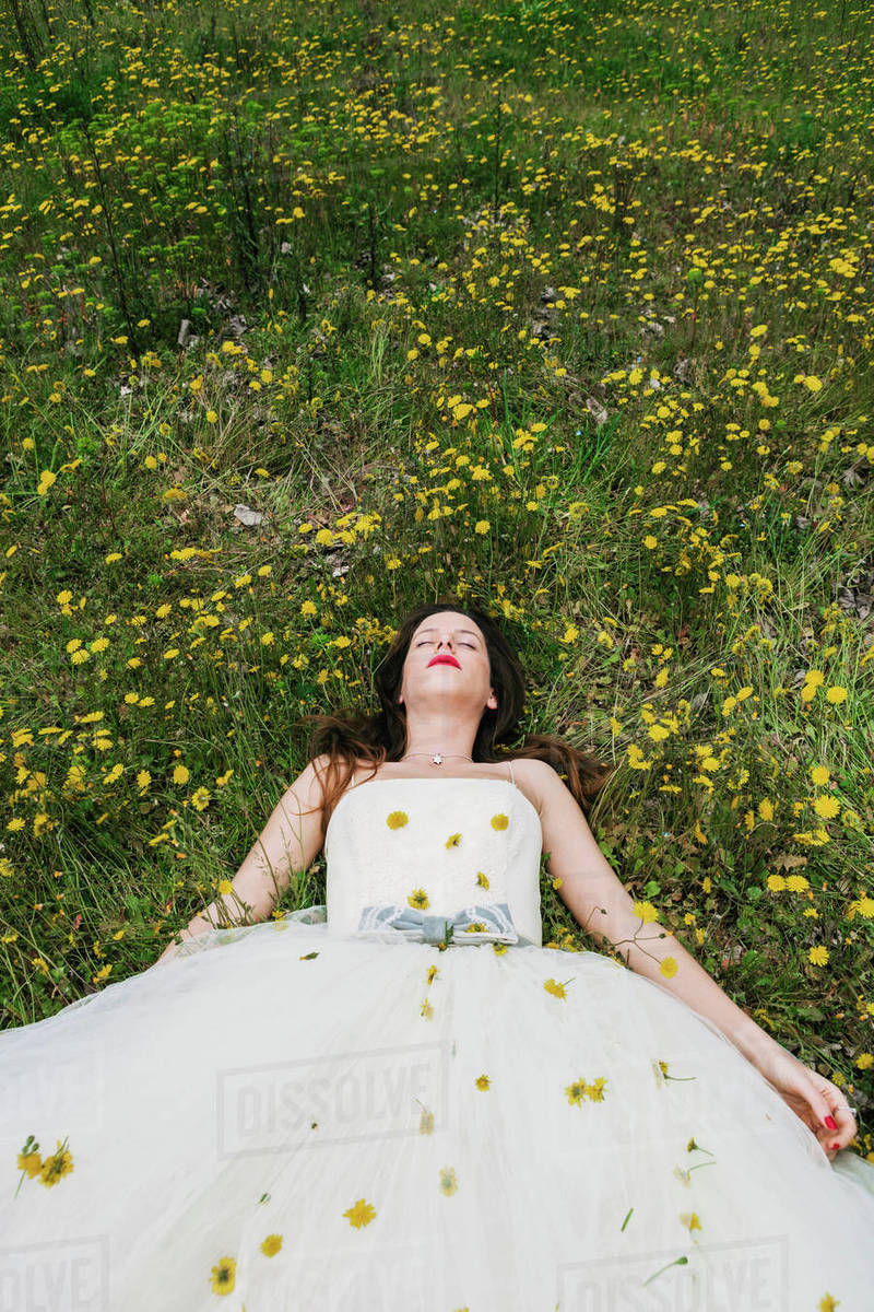 Relaxed bride lying in meadow with flowers - Stock Photo - Dissolve