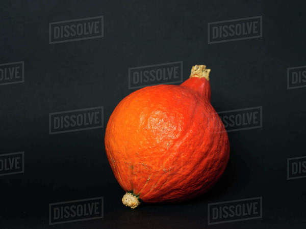 Hokkaido squash - Royalty-free Stock Photo | Dissolve