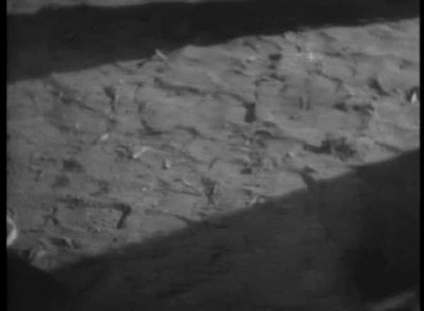 Prisoners walking in shackles - Stock Video Footage - Dissolve