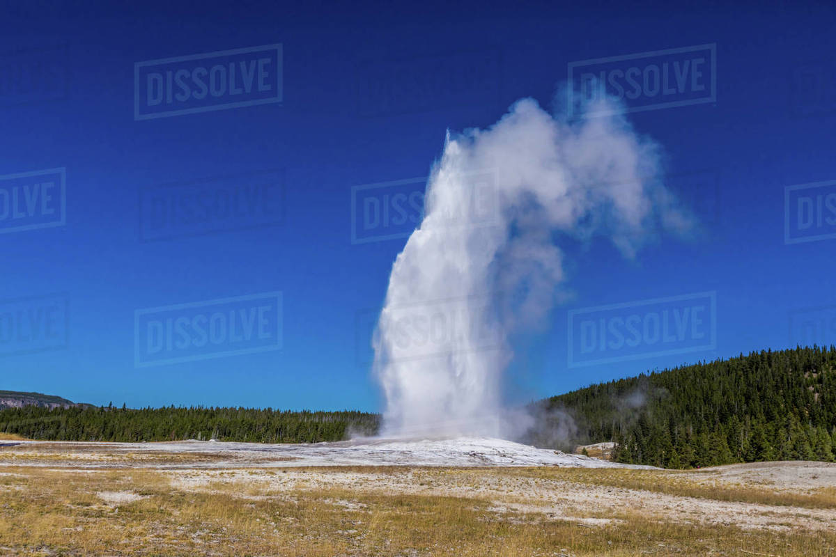 Old Faithful, a cone geyser, Yellowstone National Park, UNESCO World ...
