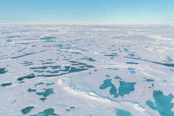 Melting ice at North Pole, Arctic - Stock Photo - Dissolve