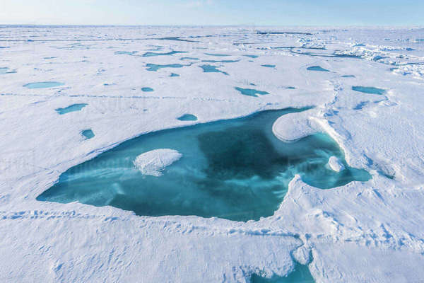 Melting ice at North Pole, Arctic - Royalty-free Stock Photo | Dissolve