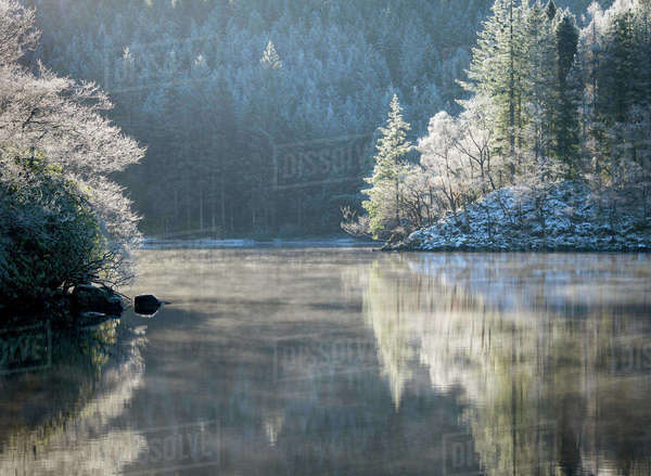 A hoar frost and transient mist over Loch Ard in the Loch Lomond and ...
