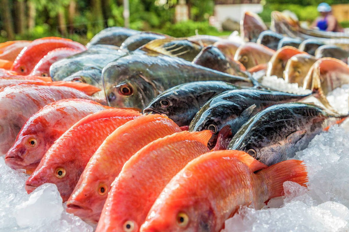 Fresh fish ready to barbecue in Kata, Phuket, Thailand, Southeast Asia ...