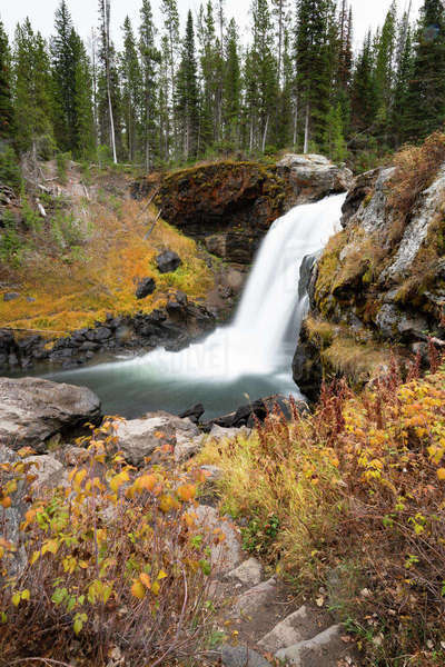 Yellowstone National Park, UNESCO World Heritage Site, Wyoming, United ...