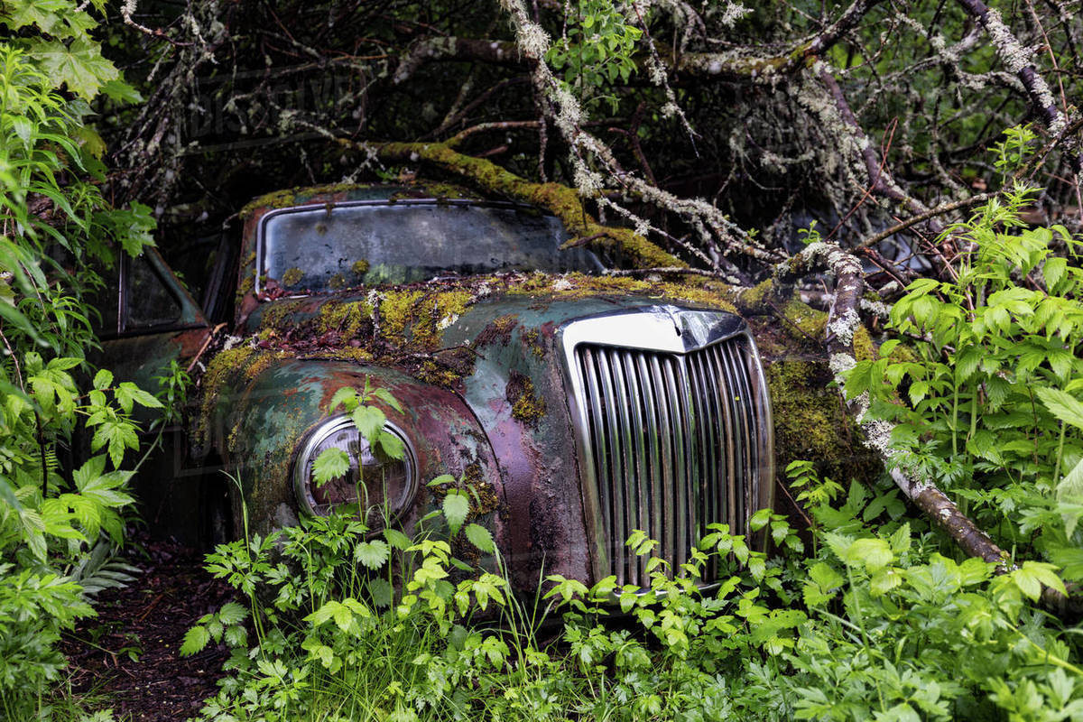Bastnas Car Cemetery deep in the forests of the region of Varmland in ...