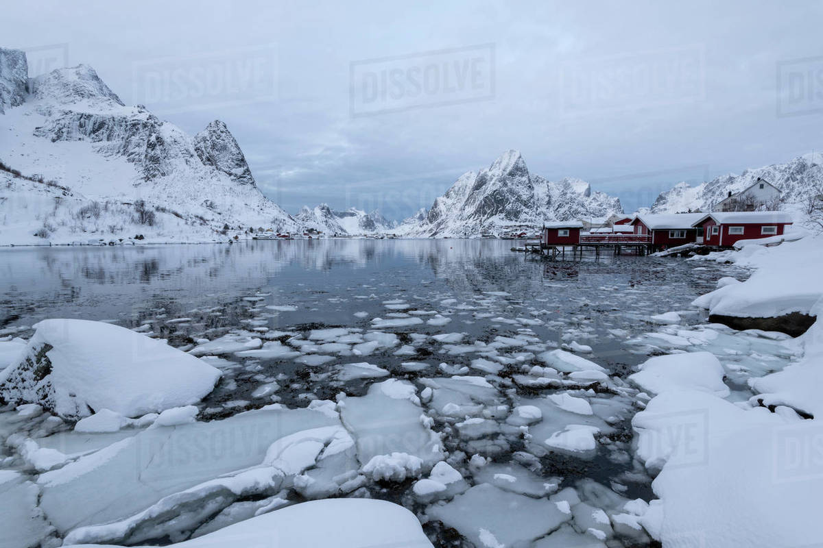 Reine in winter, Moskenes, in the Lofoten Islands, Arctic, Norway ...