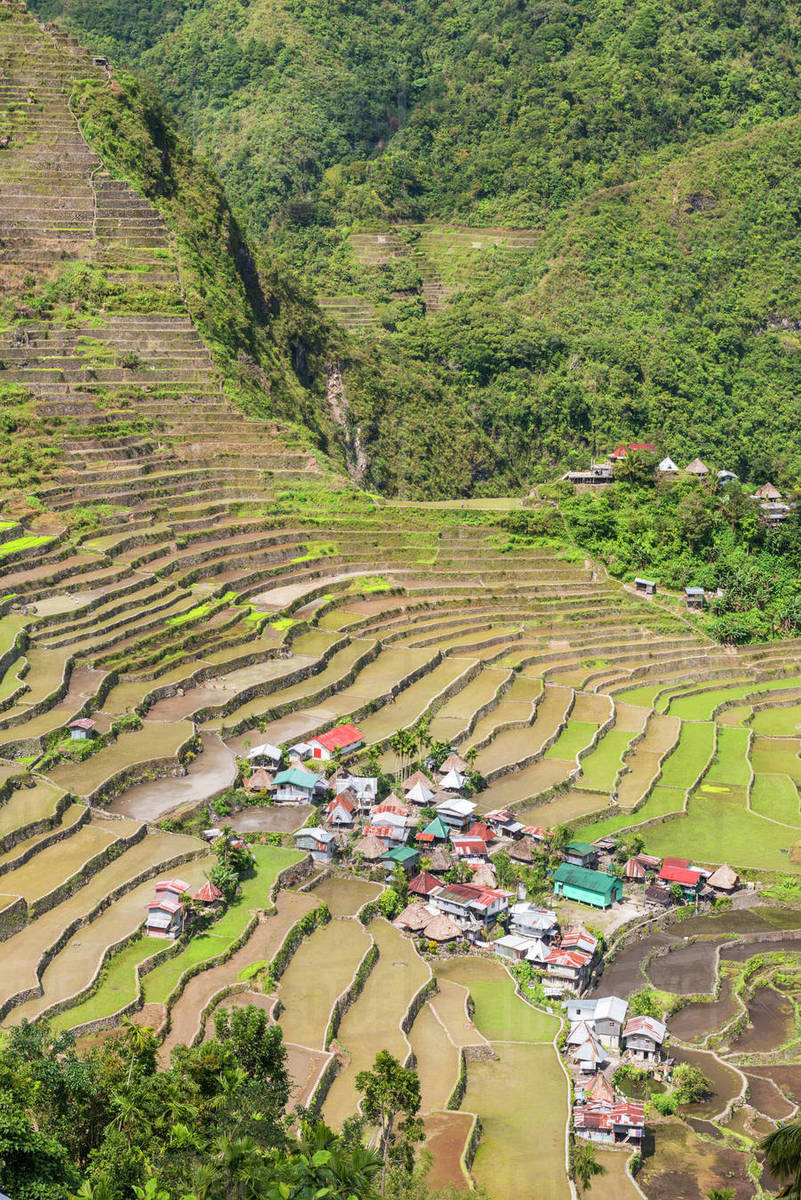 Batad, UNESCO World Heritage Site, Luzon, Philippines, Southeast Asia ...