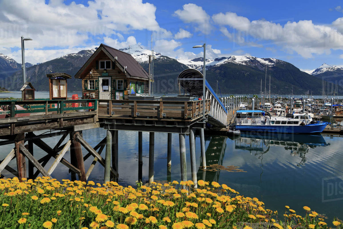 Harbor Masters Office, Small Boat Harbor, Haines, Lynn Canal, Alaska ...