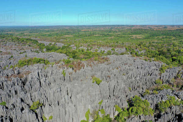 The karst limestone formation at Parc National des Tsingy de Bemaraha ...