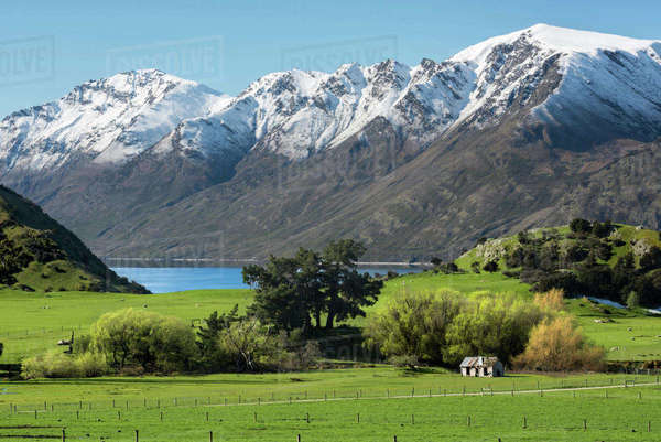 Rural scene of Lake Wanaka backed by snow capped mountains, Wanaka ...