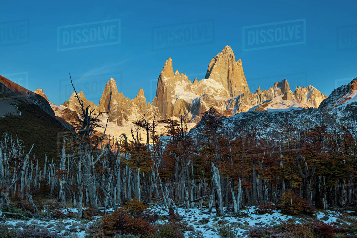 Mount Fitz Roy with forest in autumn, El Chalten, Los Glaciares ...