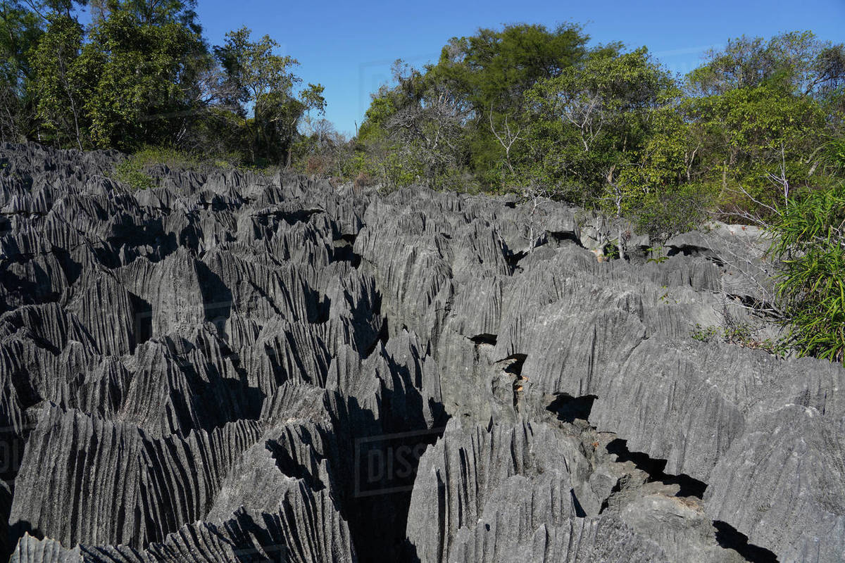 Small Tsingy, Tsingy de Bemaraha National Park, UNESCO World Heritage ...