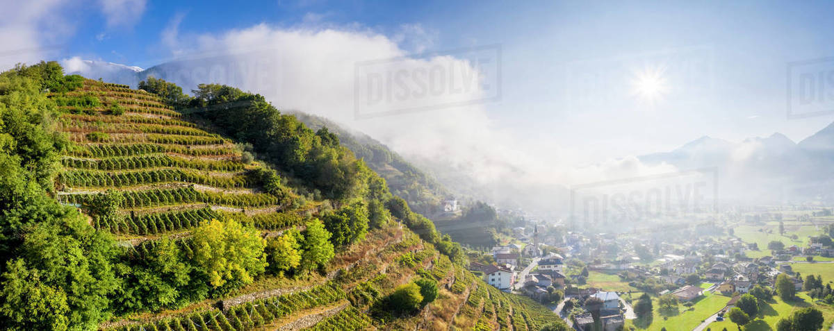 Aerial panoramic view of vineyards with village illuminated by sun in ...