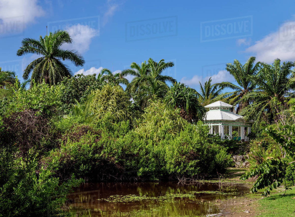 Queen Elizabeth II Botanic Park, North Side, Grand Cayman, Cayman ...