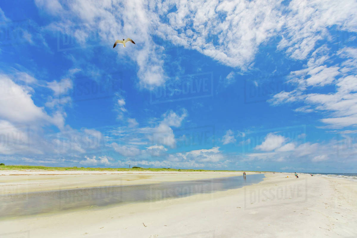 White sand beaches on Ship Island, Gulf Coast, Mississippi, United ...