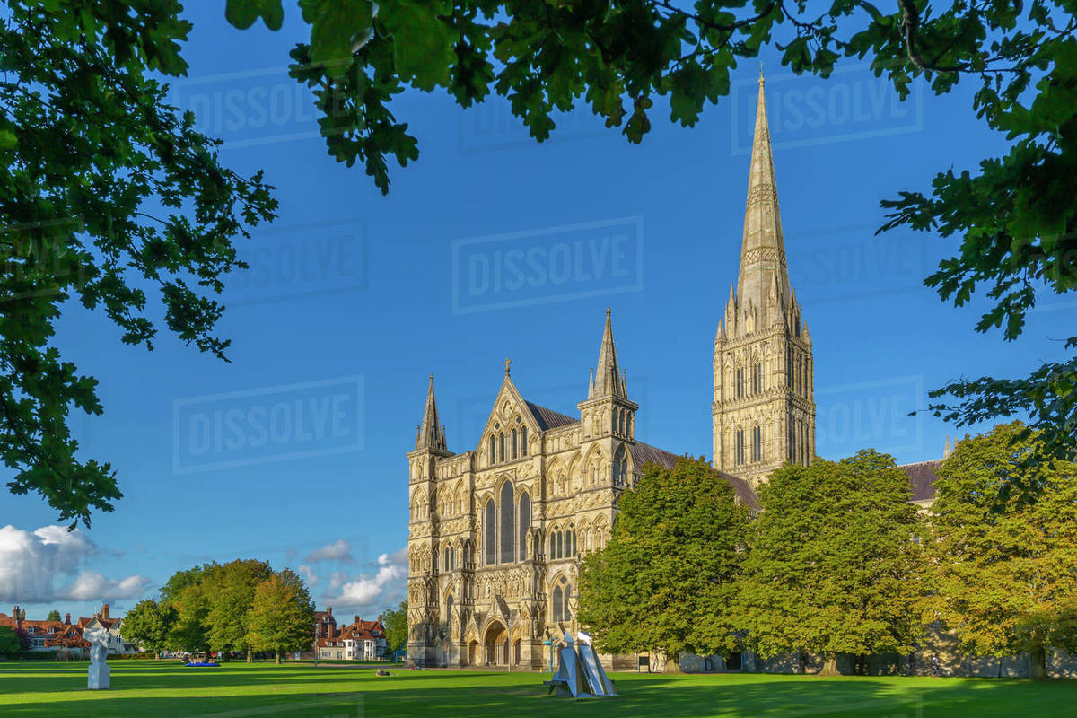 View of Salisbury Cathedral framed by trees, Salisbury, Wiltshire ...