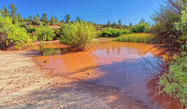 Toxic pond formed from runoff of mine tailings at an abandoned copper ...