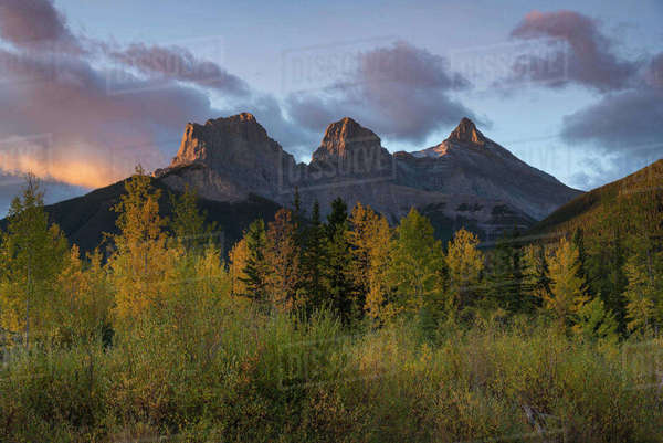 Sunrise in autumn at Three Sisters Peaks near Banff National Park ...