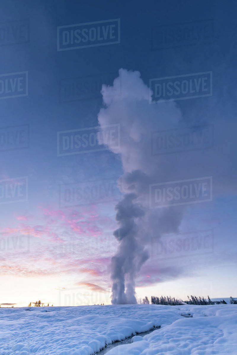 Sunrise eruption of Old Faithful geyser with stream, Yellowstone National Park, UNESCO World ...