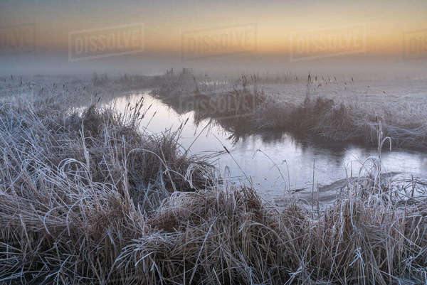 Flooded ditch and frost on coastal grazing marsh, Elmley National ...