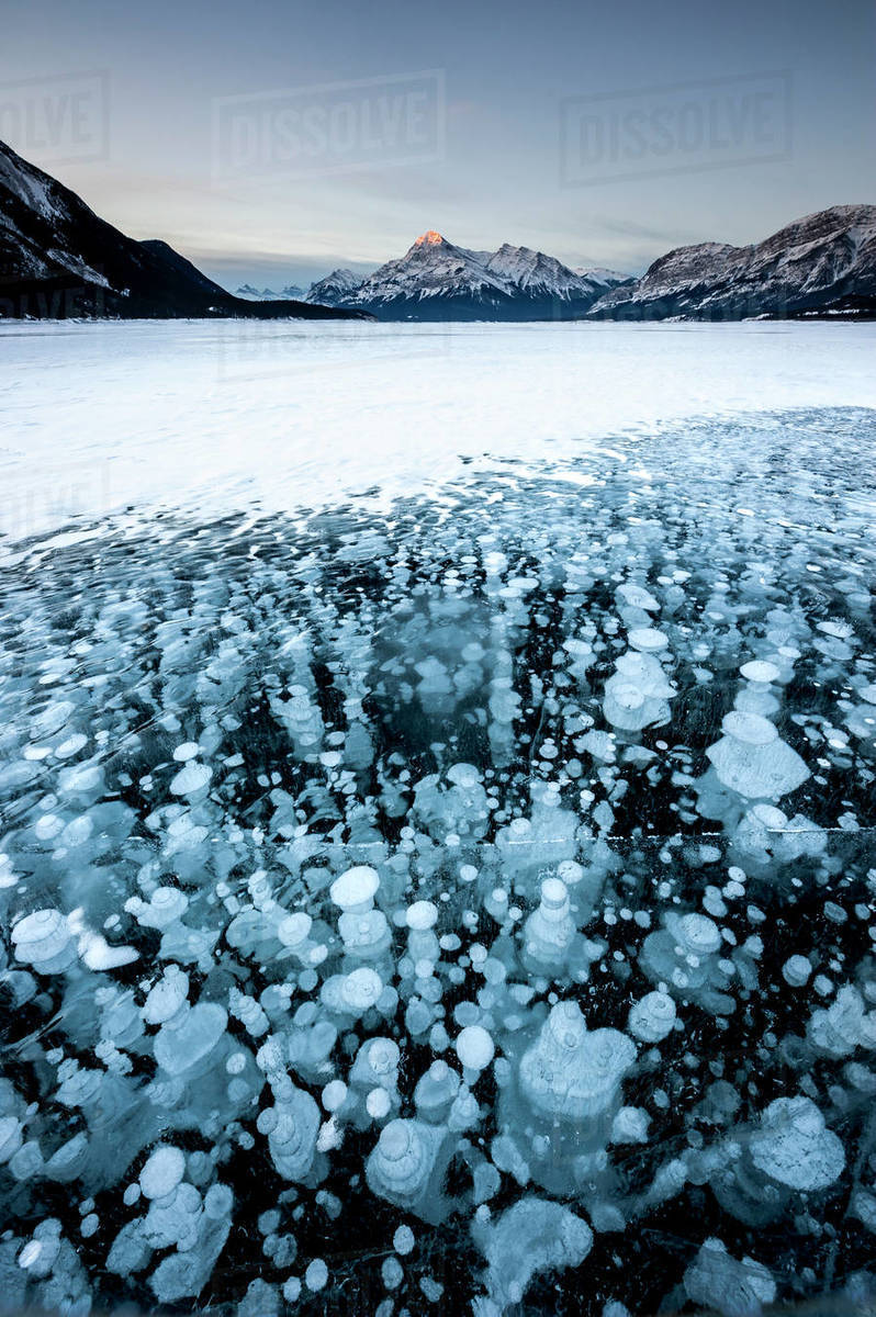 Frozen methane bubbles on Lake Abraham, Kootenay Plains, Alberta ...