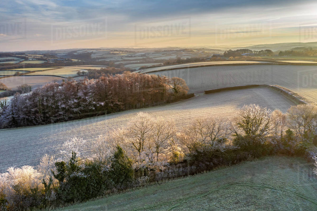 Rolling countryside at dawn on a frosty winter morning, Devon, England ...