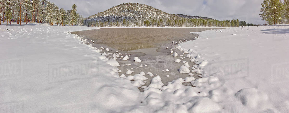Panorama of Kaibab Lake from its south side, Kaibab National Forest ...