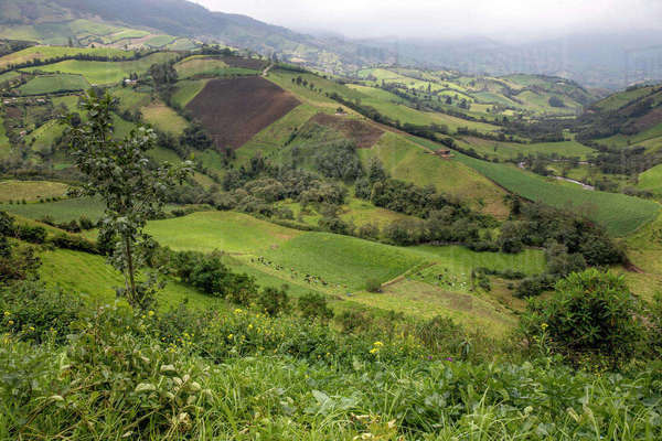 Northern sierra landscape, Carchi, Ecuador, South America - Stock Photo ...