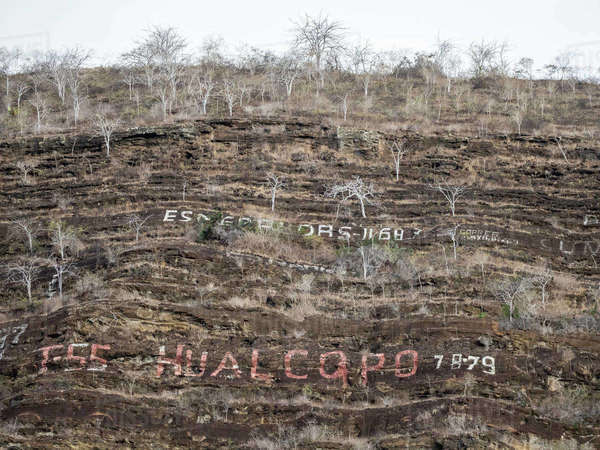 Old ships graffiti painted on the rocks in Tagus Bay on Isabela Island ...