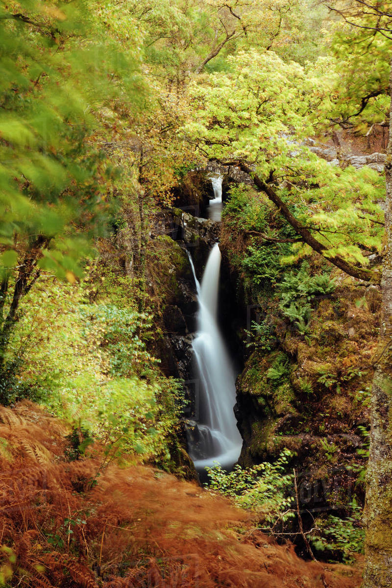 Aira Force waterfall, Lake District National Park, UNESCO World ...