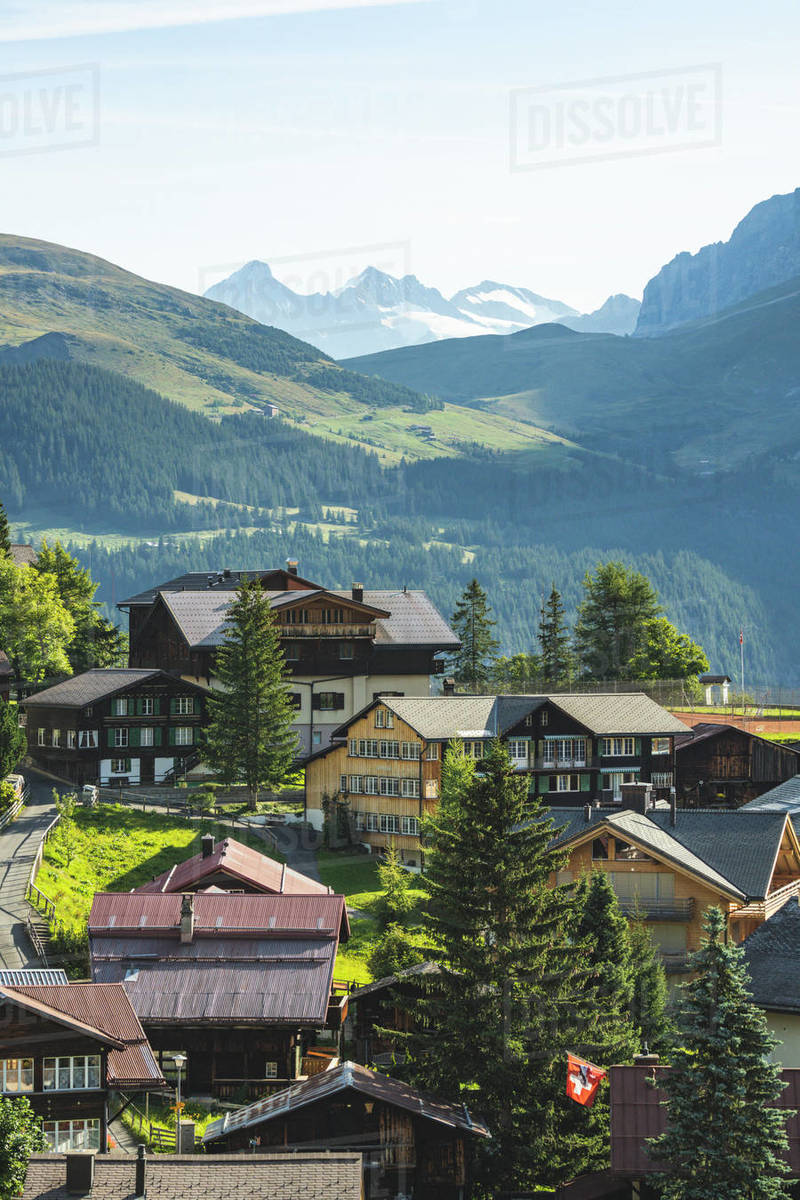 Traditional chalet and houses in the alpine village of Murren in summer ...