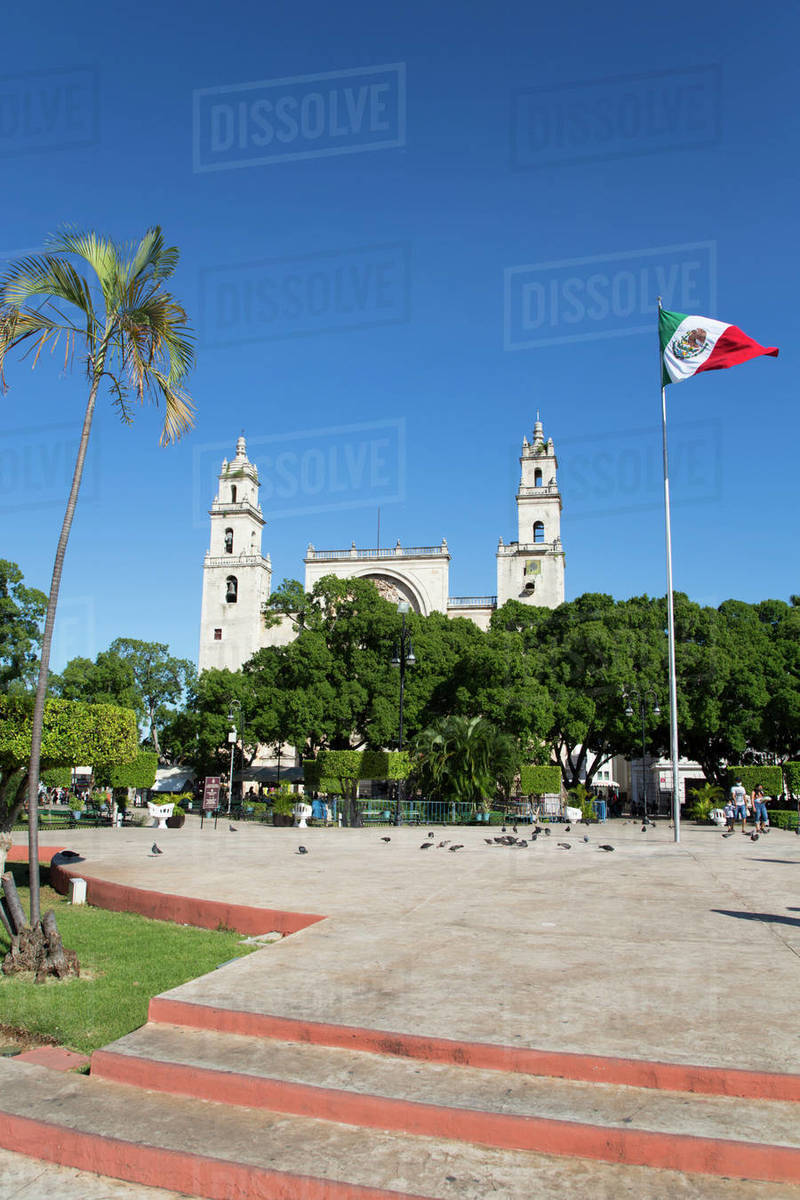 Mexican flag, Plaza Grande, Cathedral de IIdefonso in the background ...