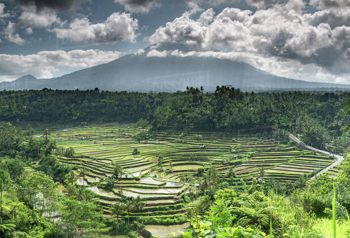 Rice terraces and fields with the Gunung Agung volcano in the ...