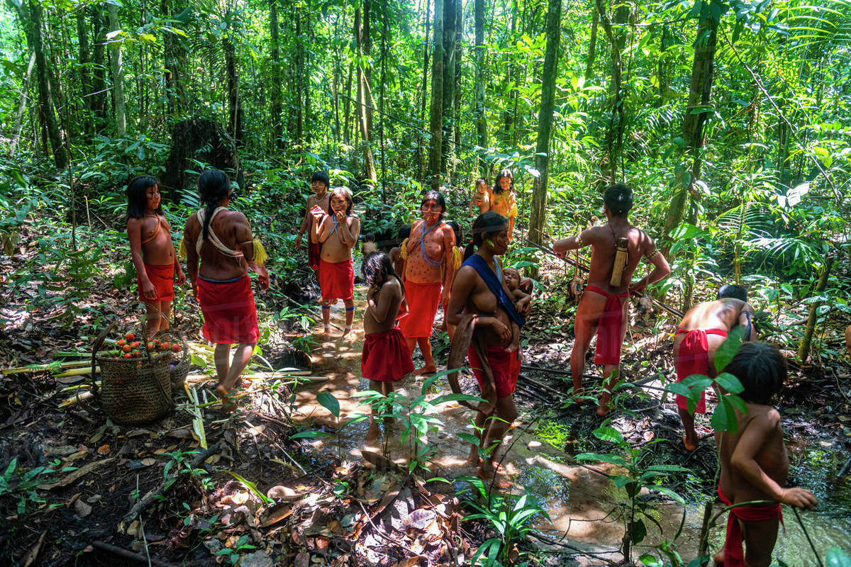 Women from the Yanomami tribe standing in the jungle, southern ...