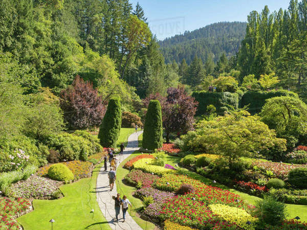 The Sunken Garden at Victoria's Butchart Gardens, planted in a former ...