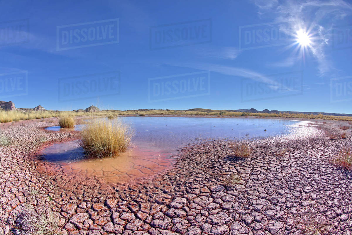 The shallow pond called Dry Creek Tank along the Red Basin Trail, Petrified Forest National Park ...