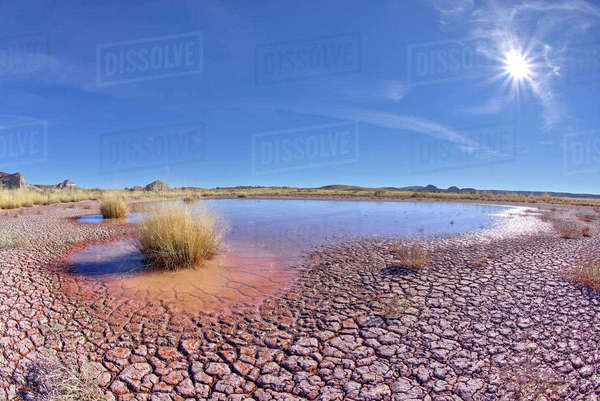 The shallow pond called Dry Creek Tank along the Red Basin Trail ...