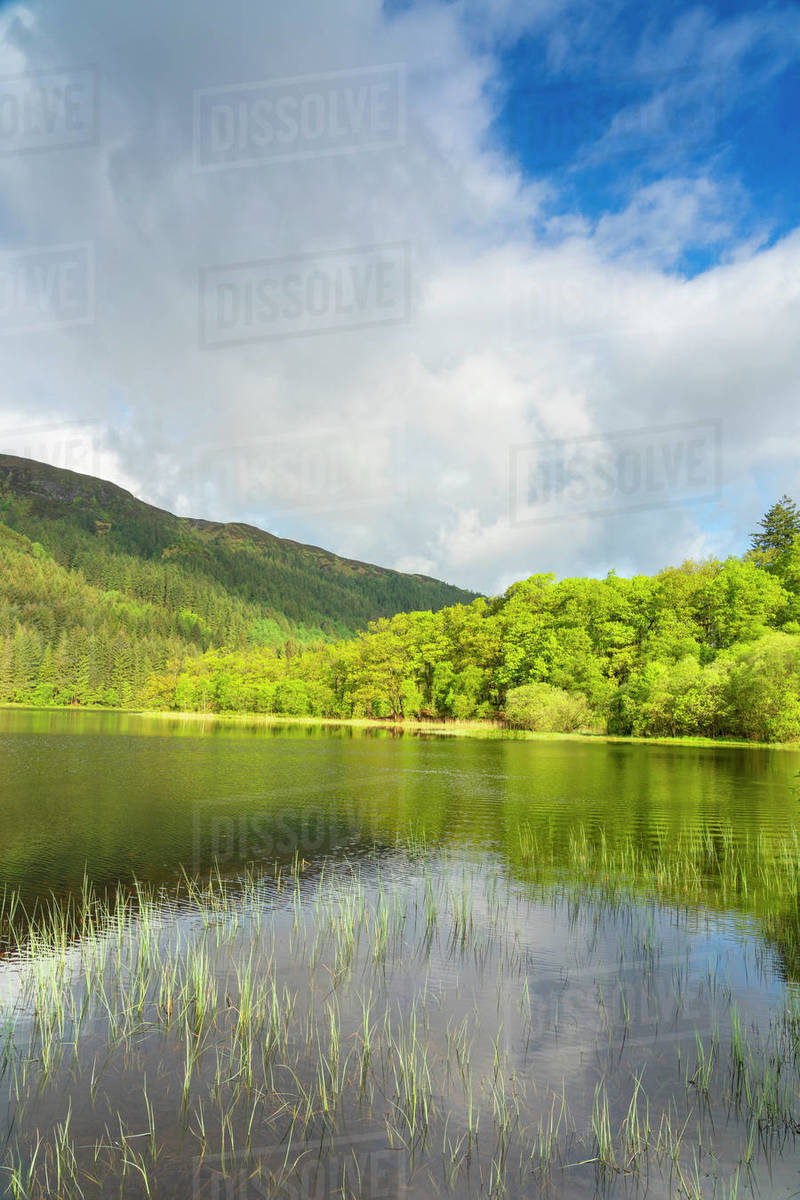 Loch Chon, Loch Lomond and The Trossachs National Park, Scottish ...