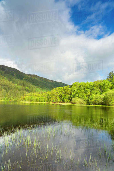 Loch Chon, Loch Lomond and The Trossachs National Park, Scottish ...