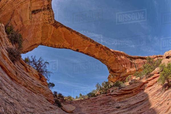 The Owachomo Bridge (Rock Mound in Hopi), Natural Bridges National ...