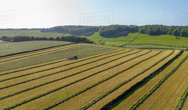 Aerial view of hay fields near Baslow village, Peak District National ...