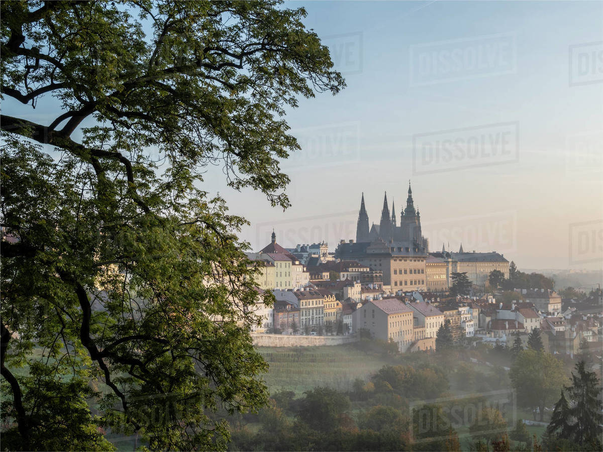 Prague Castle and St. Vitus Cathedral in morning sunlight, UNESCO World ...