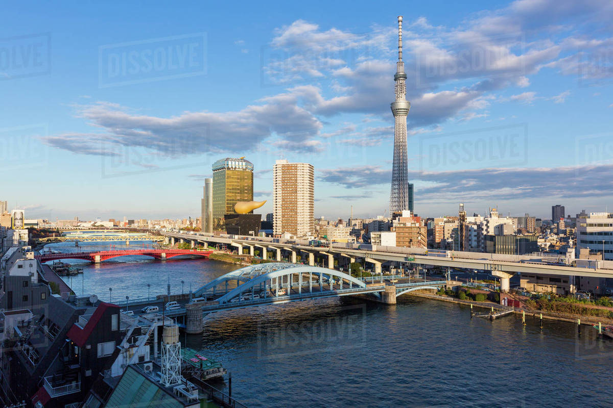 City skyline and Skytree on the Sumida River, Tokyo, Japan, Asia ...
